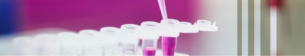 DNA loading buffers I Ampliqon PCR Enzymes -Etcon Analytical