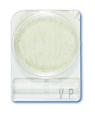 NISSUI COMPACT DRY - Etcon Analytical and Environmental Systems ...