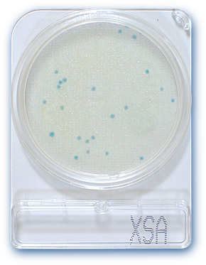 NISSUI COMPACT DRY - Etcon Analytical and Environmental Systems ...