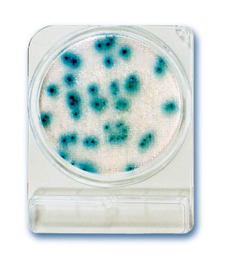 NISSUI COMPACT DRY - Etcon Analytical and Environmental Systems ...