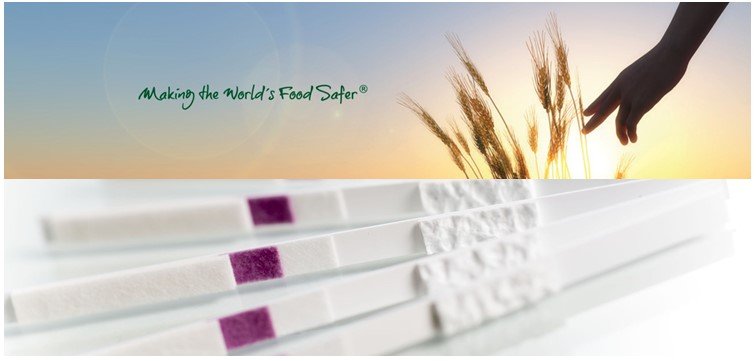 Romerlab Mycotoxin AgraStrip® lateral flow devices - Etcon Analytical ...